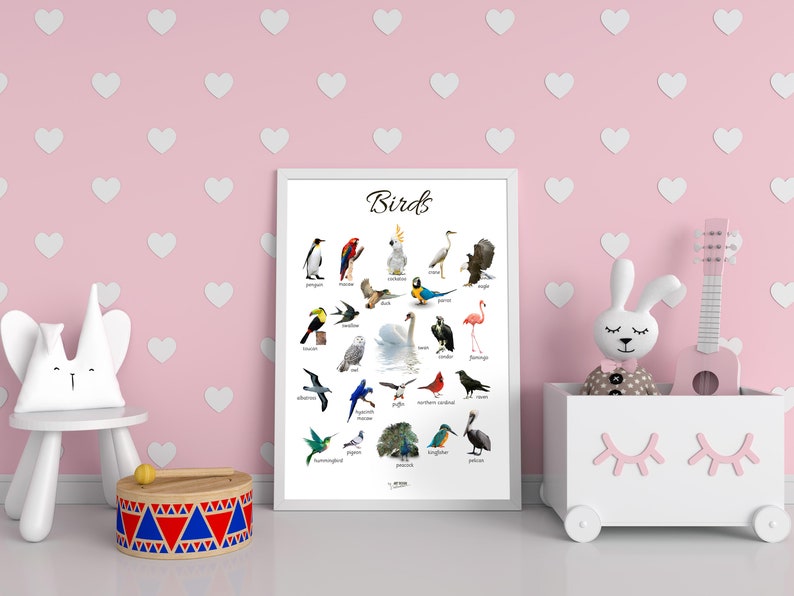 BIRDS POSTER Montessori Poster Montessori Educational - Etsy