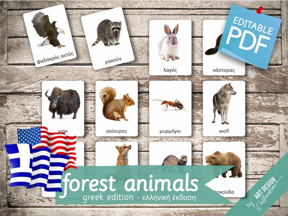 Forest Animals Images With Names