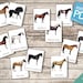 HORSES • 28 Editable Montessori Cards • Flash Cards Nomenclature ...