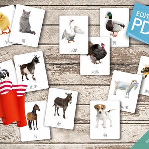 FARM ANIMALS CHINESE Edition • 22 Simplified Chinese 22 Traditional ...