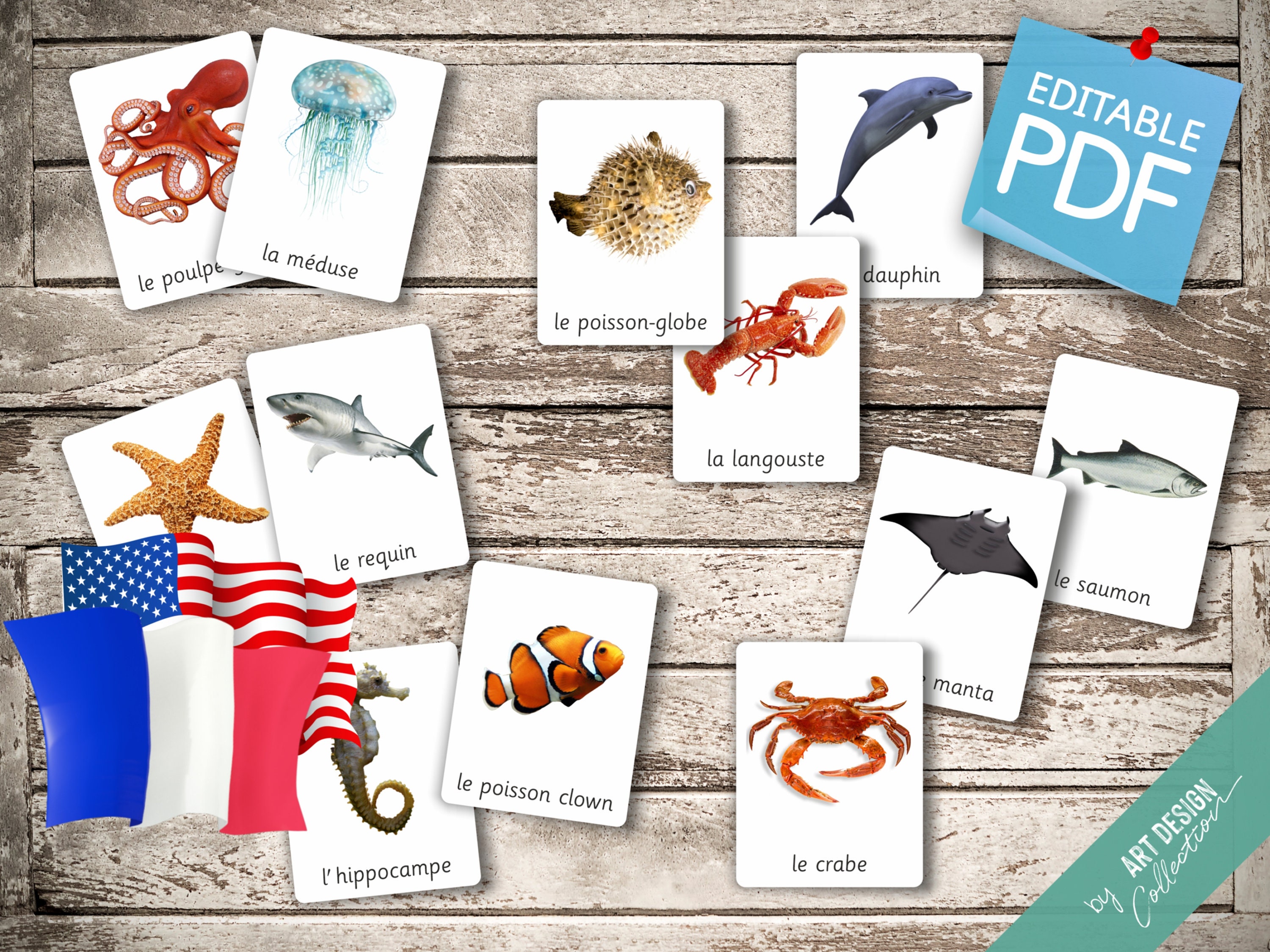 OCEAN ANIMALS FRENCH Edition 22 French and 22 English | Etsy