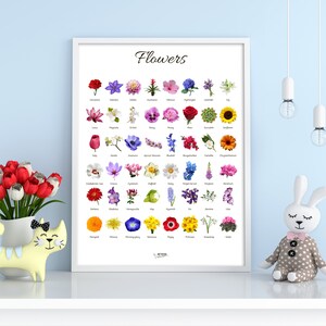 FLOWERS POSTER • Montessori Poster • Montessori Educational ...