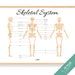 SKELETAL SYSTEM • Montessori Poster • Montessori Educational ...