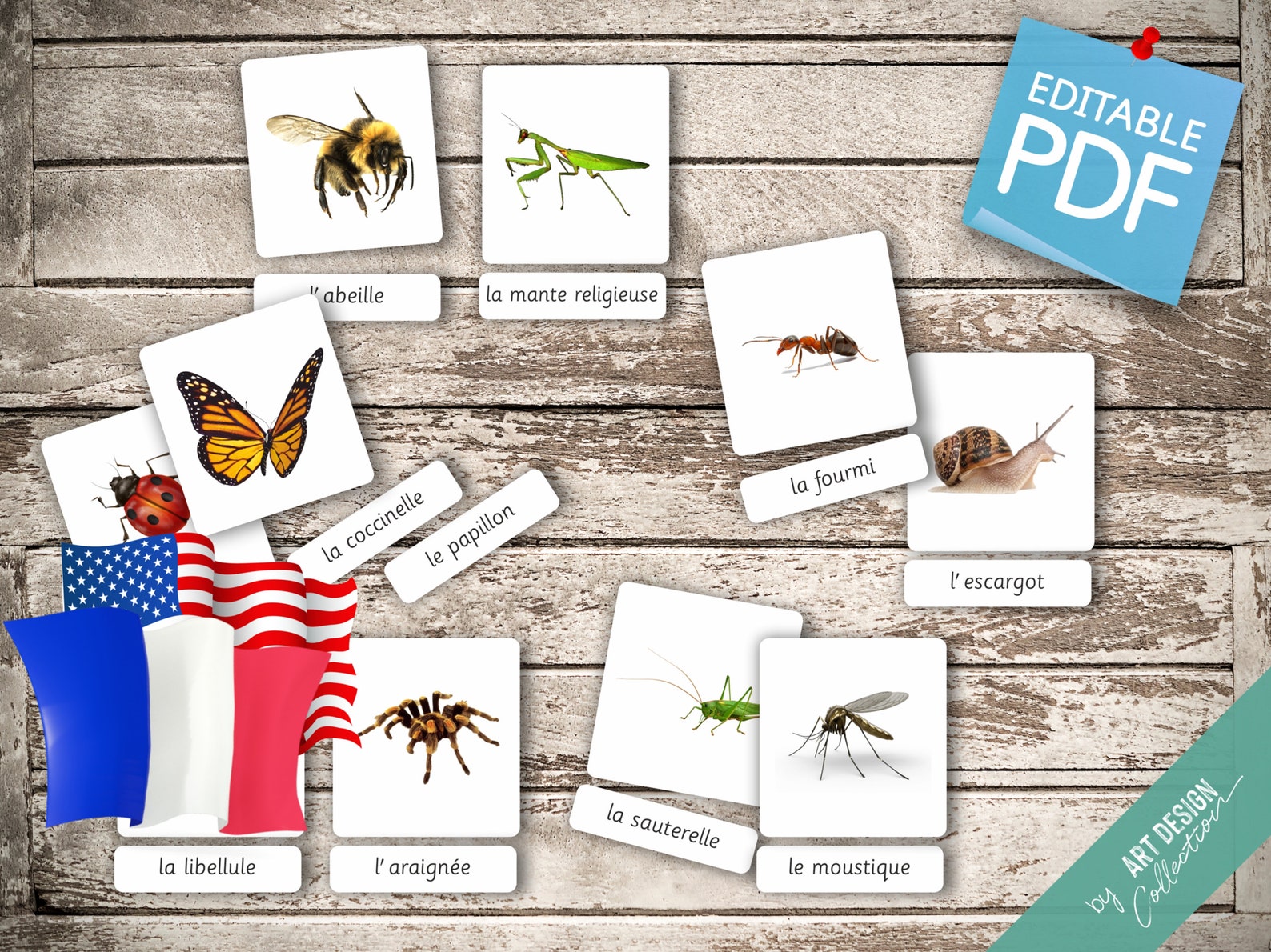 INSECTS FRENCH Edition 22 French and 22 English Editable | Etsy