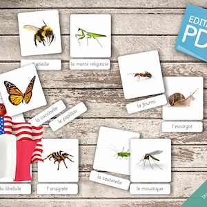 INSECTS FRENCH Edition • 22 French and 22 English Editable Montessori ...