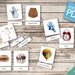 LIVING / Non-living 80 Editable Montessori Cards Flash Cards ...