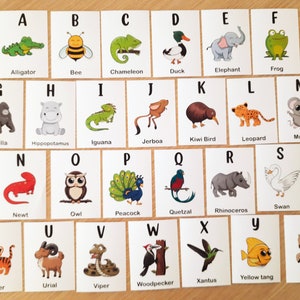 ANIMAL ALPHABET Flashcards 26 Montessori Cards Flash Cards Nomenclature ...