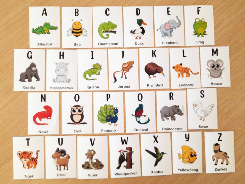 ANIMAL ALPHABET Flashcards 26 Montessori Cards Flash Cards - Etsy