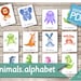 ANIMAL ALPHABET • 26 Montessori Cards • Flash Cards Nomenclature ...