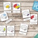 HUMAN BRAIN brain Parts Brain Functions 32 Editable Montessori Cards ...