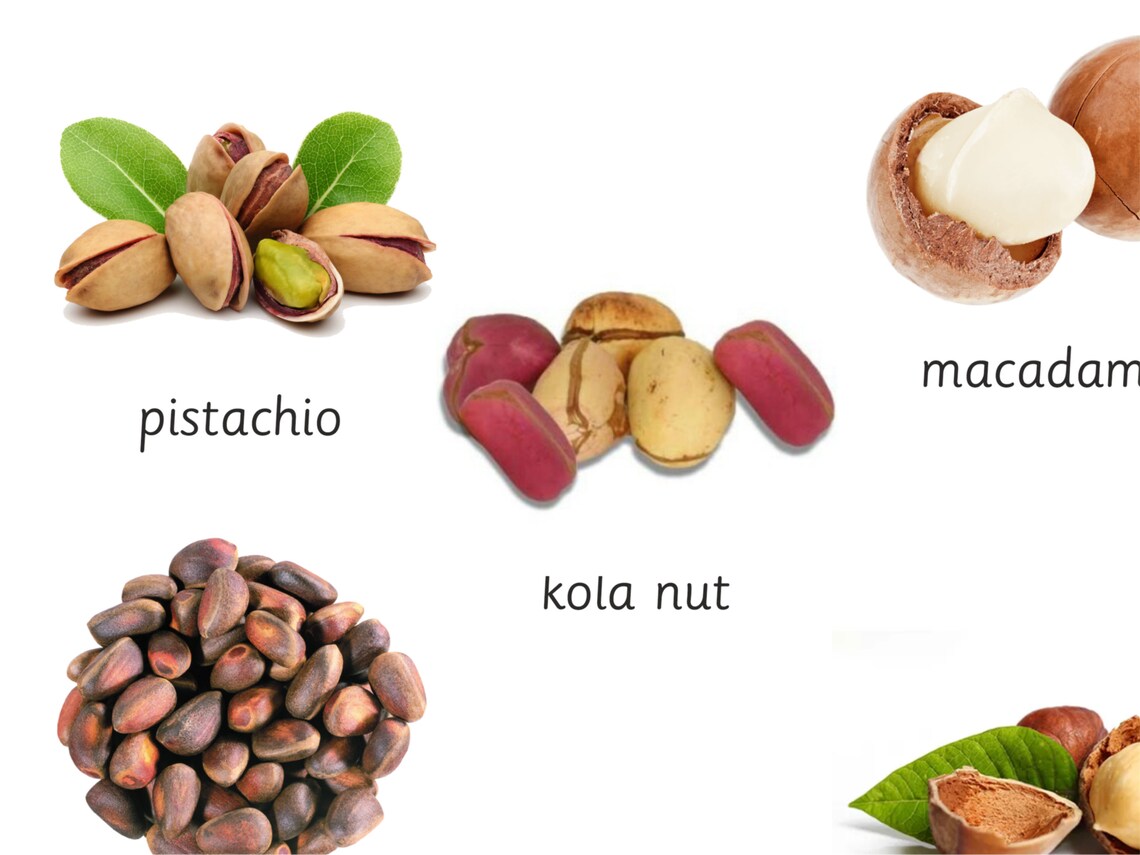 NUTS POSTER • Montessori Poster • Montessori Educational Homeschooling ...