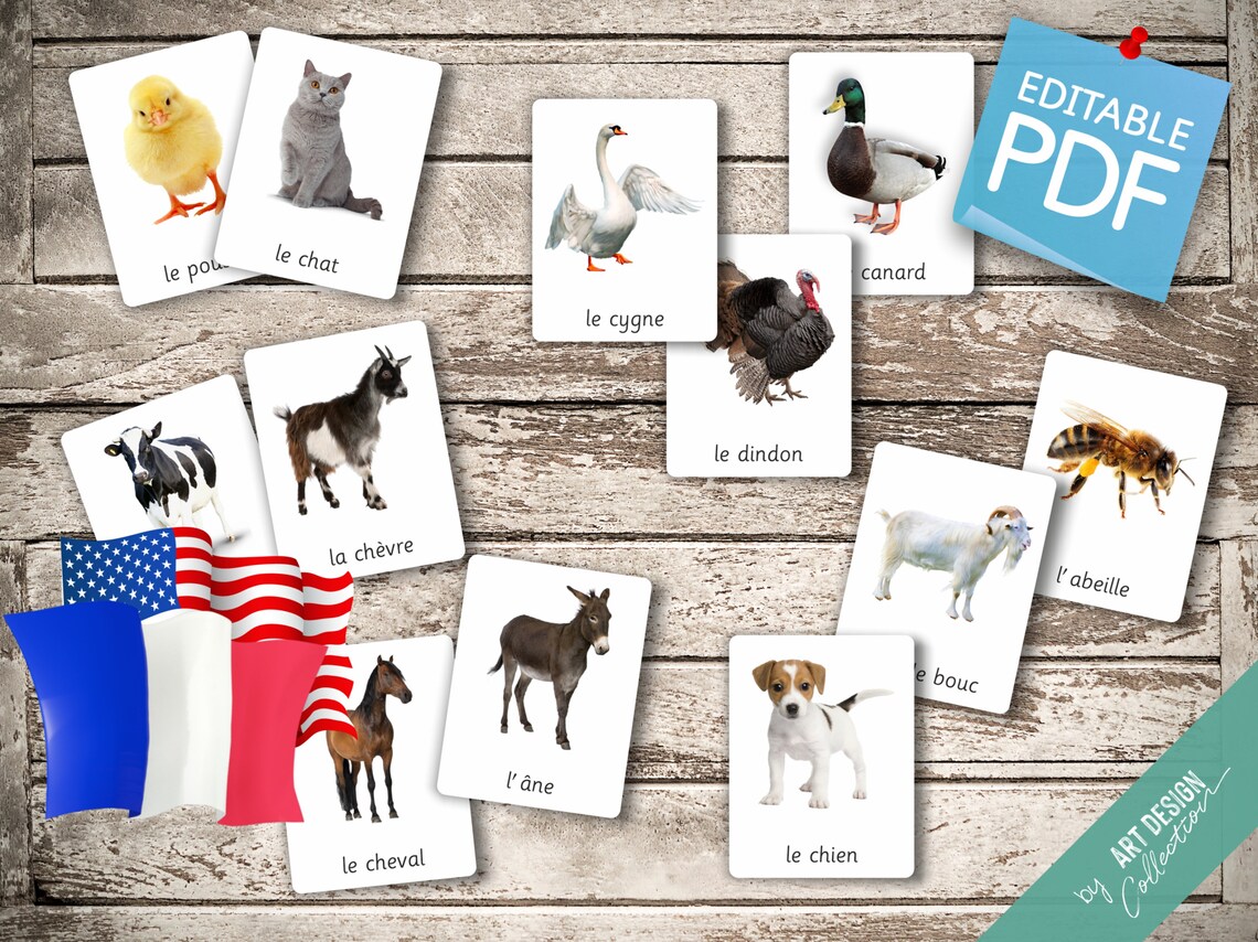 FARM ANIMALS FRENCH Edition • 22 French and 22 English Editable ...