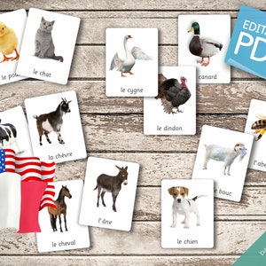 FARM ANIMALS FRENCH Edition • 22 French and 22 English Editable ...