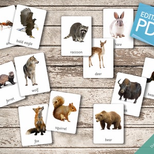 FOREST ANIMALS (real Pictures) • 22 Editable Montessori Cards • Flash ...