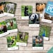 ASIA ANIMALS 32 Editable Montessori Cards Flash Cards Nomenclature ...