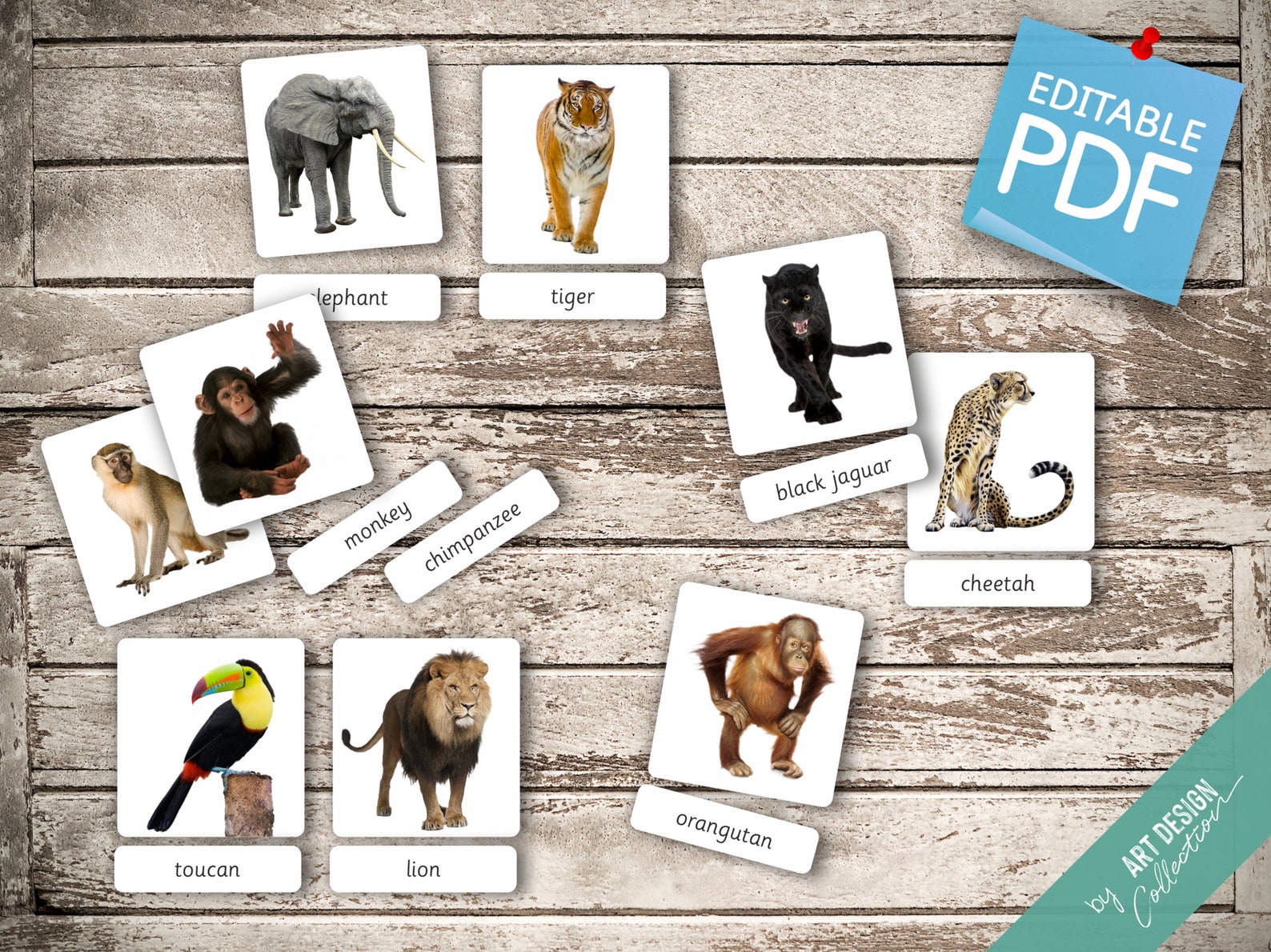 JUNGLE ANIMALS FRENCH Edition • 22 French and 22 English Editable ...
