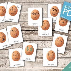 EGG CHARACTER • 50 Editable Montessori Cards • Flash Cards Nomenclature ...