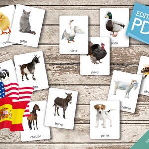 FARM ANIMALS SPANISH Edition • 22 Spanish and 22 English Editable ...
