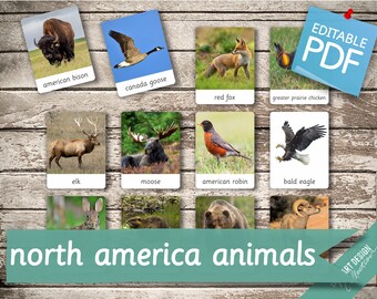 Continents Unit Printable Continents Landmarks Continents - Etsy