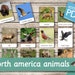 NORTH AMERICA ANIMALS • 28 Editable Montessori Cards • Flash Cards ...