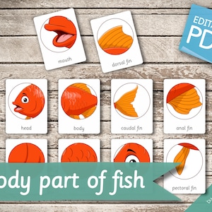 BODY PART of FISH • 11 Montessori Cards • Flash Cards Nomenclature ...