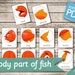 BODY PART of FISH • 11 Montessori Cards • Flash Cards Nomenclature ...