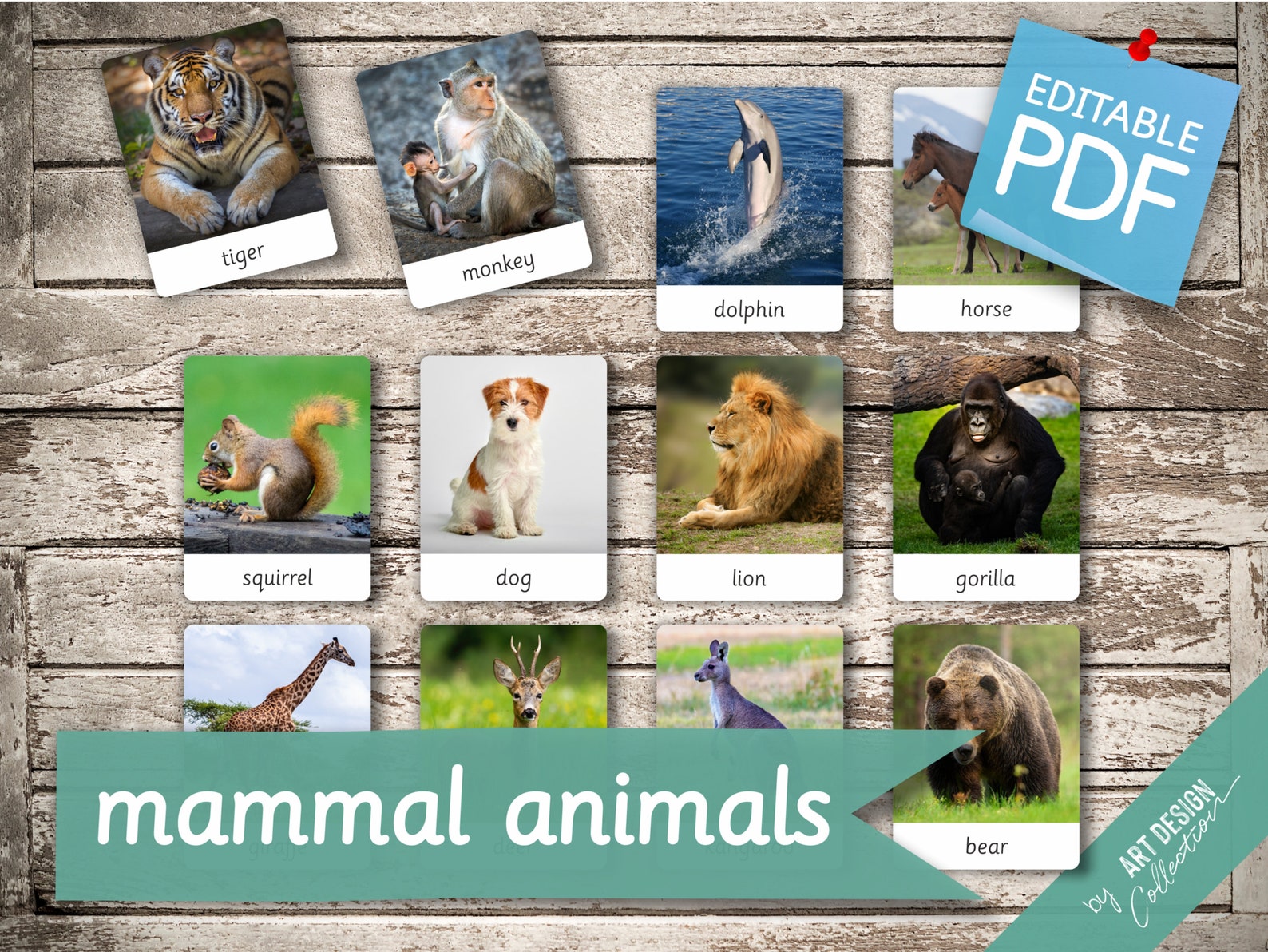MAMMAL ANIMALS 28 Editable Montessori Cards Flash Cards Nomenclature ...