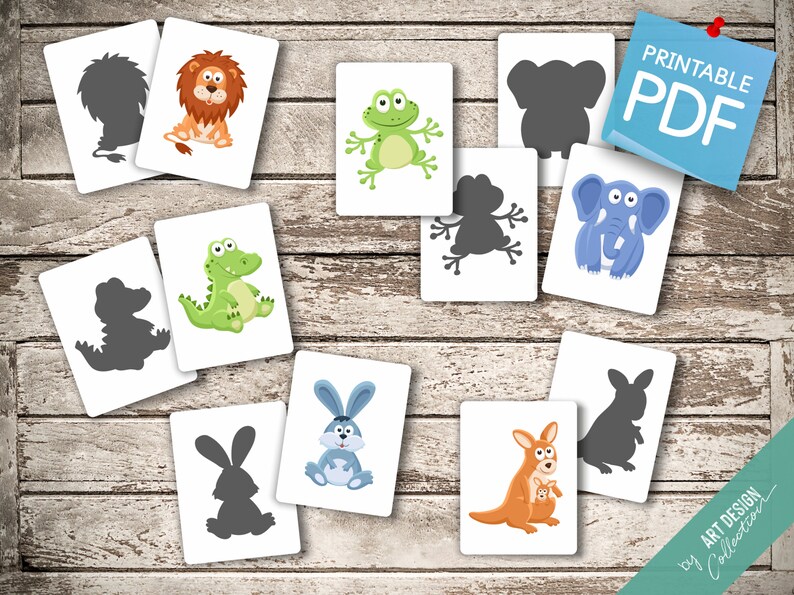 SHADOW MATCHING CARDS • 52 Montessori Cards • Flash Cards Nomenclature ...