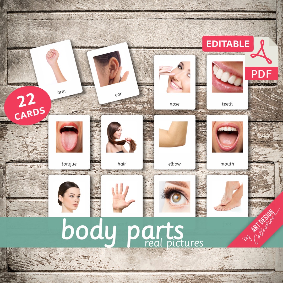 BODY PARTS (real Pictures) • 22 Montessori Cards • Flash Cards ...