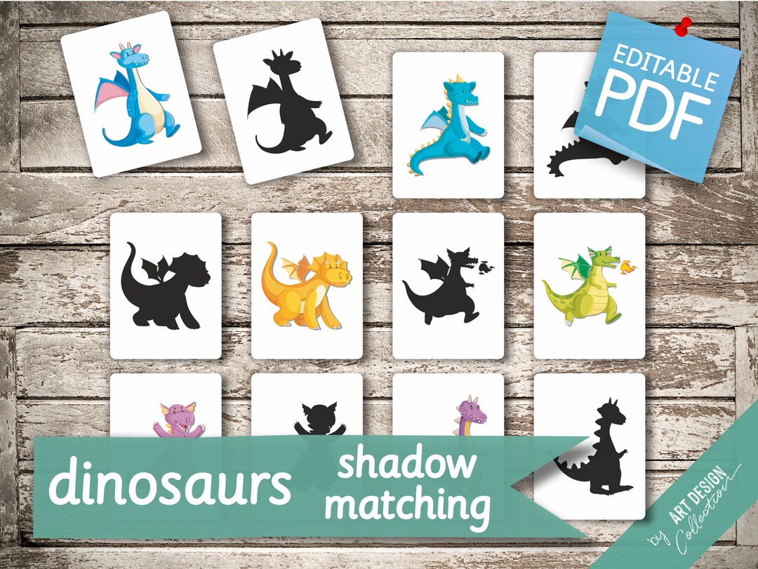 DINOSAURS SHADOW MATCHING Cards 60 Montessori Cards Flash Cards ...
