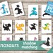 DINOSAURS SHADOW MATCHING Cards 60 Montessori Cards Flash Cards ...