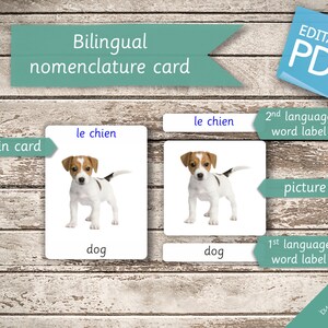 FARM ANIMALS BILINGUAL 22 Editable Montessori Cards Flash - Etsy