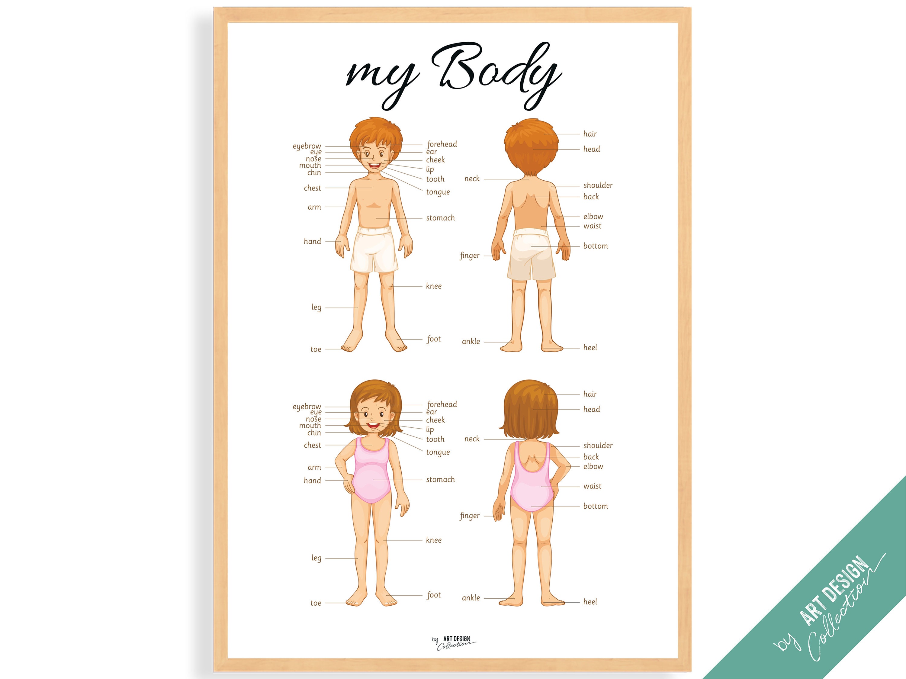 MY BODY POSTER Montessori Poster Montessori Educational - Etsy