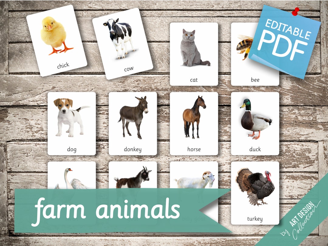 FARM ANIMALS 22 Editable Montessori Cards Flash Cards Nomenclature ...