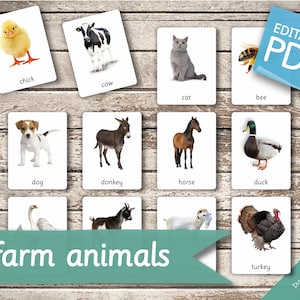 FARM ANIMALS • 22 Editable Montessori Cards • Flash Cards Nomenclature ...