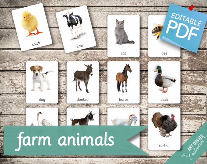 Montessori and Waldorf Learning Wild Animal Sustainable Match - Etsy