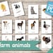 FARM ANIMALS • 22 Editable Montessori Cards • Flash Cards Nomenclature ...