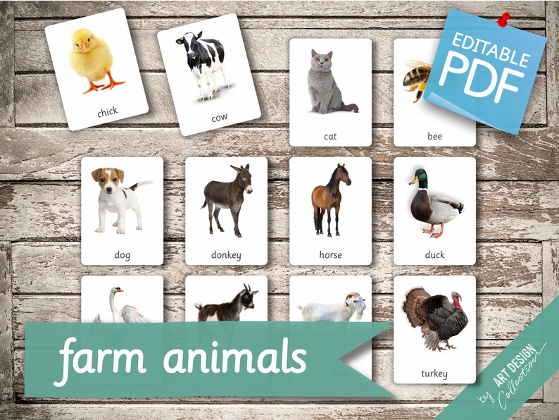FARM ANIMALS • 22 Editable Montessori Cards • Flash Cards Nomenclature ...