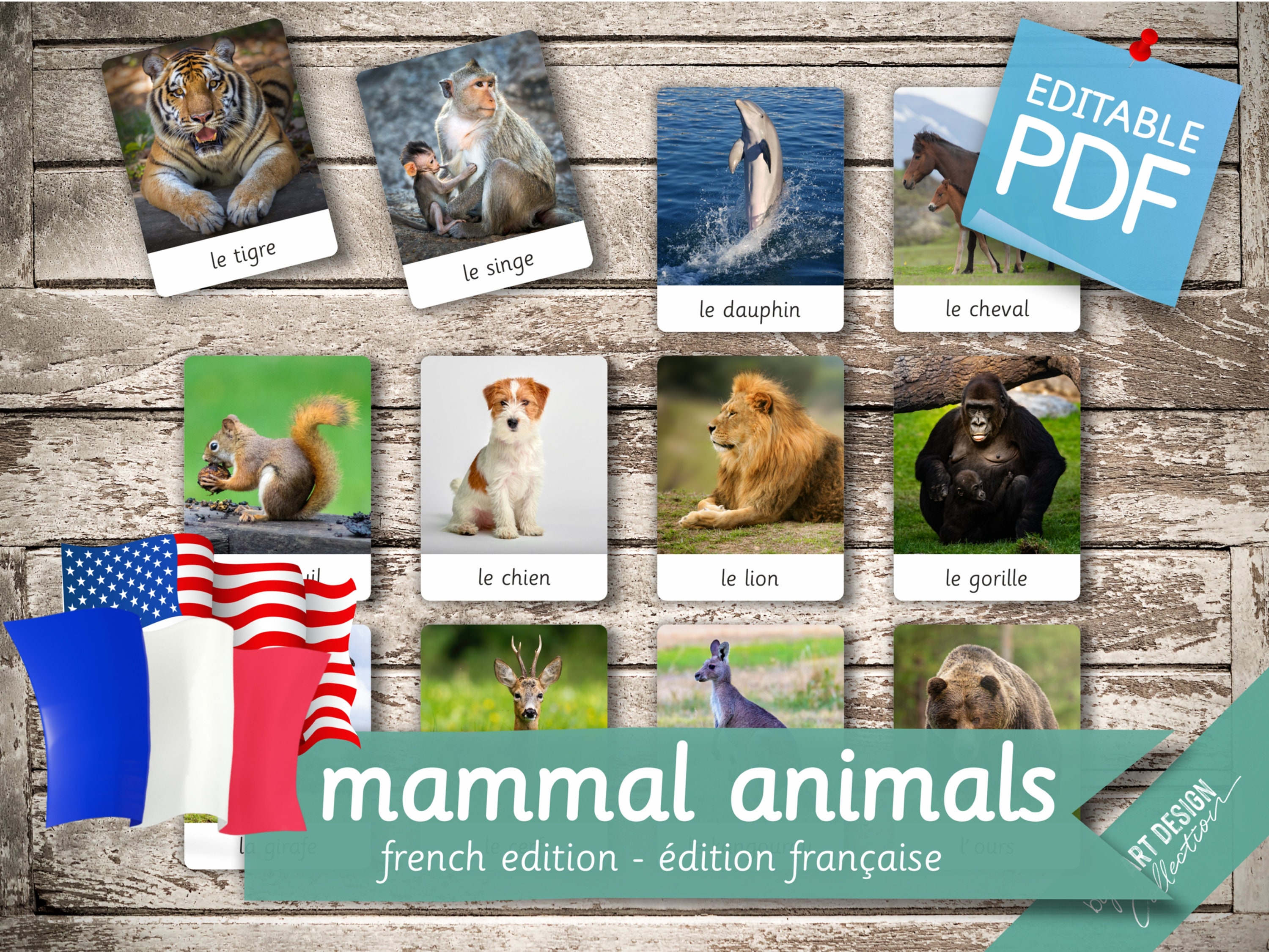 MAMMAL ANIMALS FRENCH Edition 28 French and 28 English | Etsy
