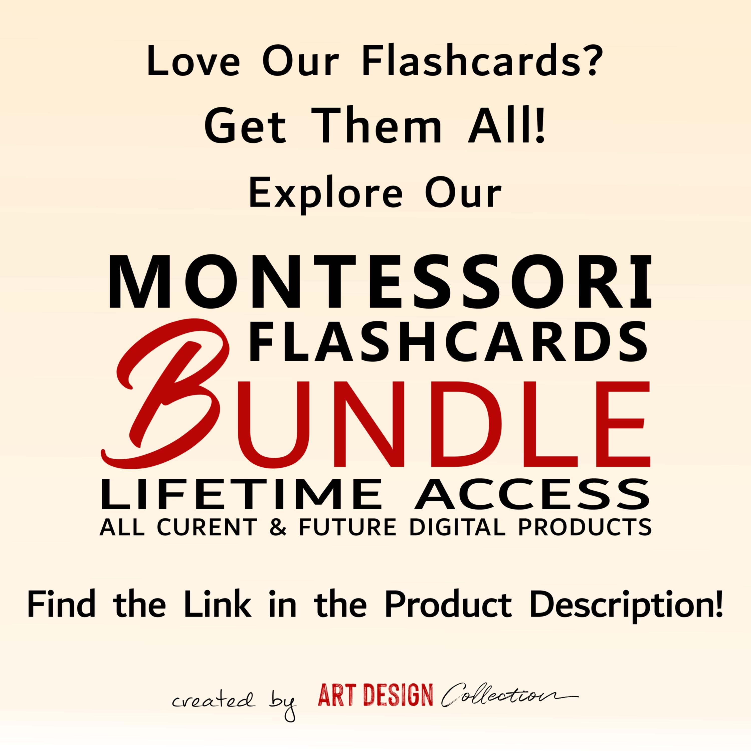 COLORS • 20 Editable Montessori Cards • Flash Cards Nomenclature ...