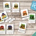 SHOPS • 30 Montessori Cards • Flash Cards Nomenclature Flashcards ...