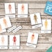 Human Body Organ System • 14 Montessori Cards • Flash Cards ...