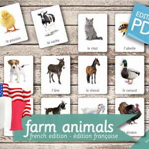 FARM ANIMALS FRENCH Edition • 22 French and 22 English Editable ...
