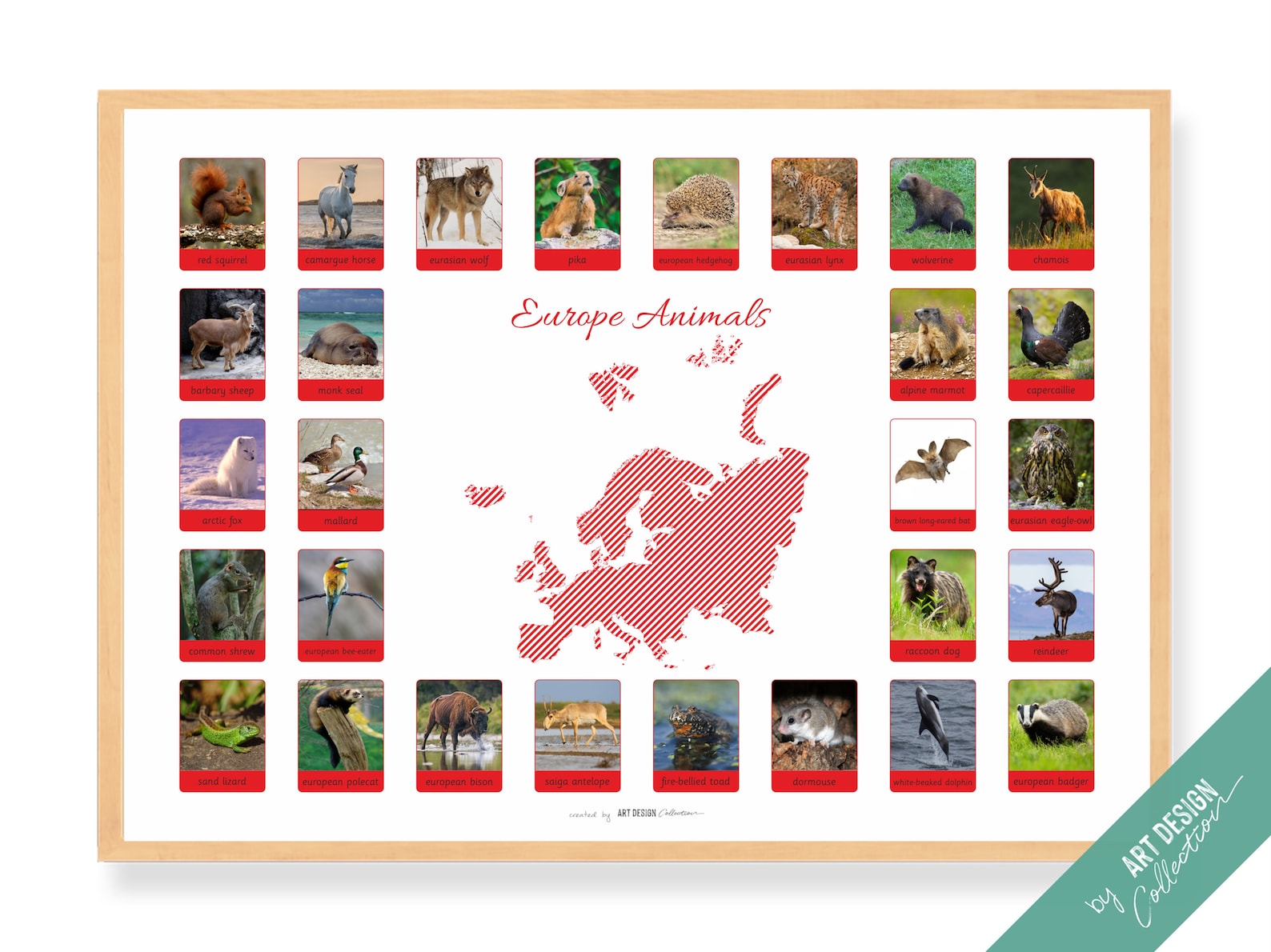 EUROPE ANIMALS Poster Montessori Poster Montessori | Etsy