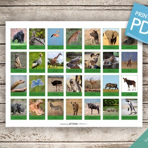 WORLD ANIMALS BOOK • 7 Printable Cards 17" X 11" • 196 Animals Cards ...