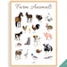 FARM ANIMALS POSTER Montessori Poster Montessori Educational ...