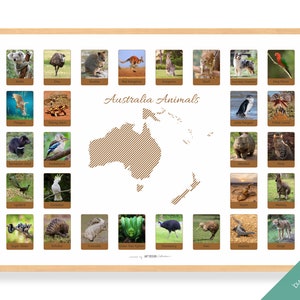WORLD ANIMALS 7 Poster • Montessori Poster • Montessori Educational ...