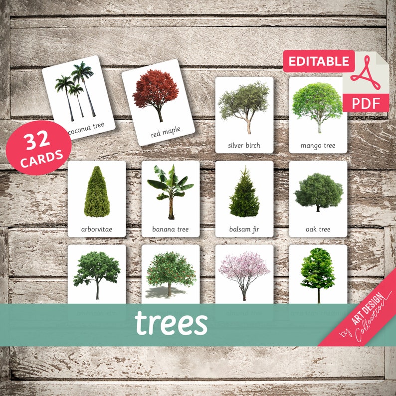 TREES (real Pictures) • 32 Editable Montessori Cards • Flash Cards ...