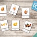 LIFE CYCLE of a CHICKEN 7 Montessori Cards Flash Cards Nomenclature ...