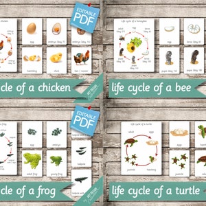 LIFE CYCLE BUNDLE • 12 Life Cycles • Montessori Cards Flash Cards ...